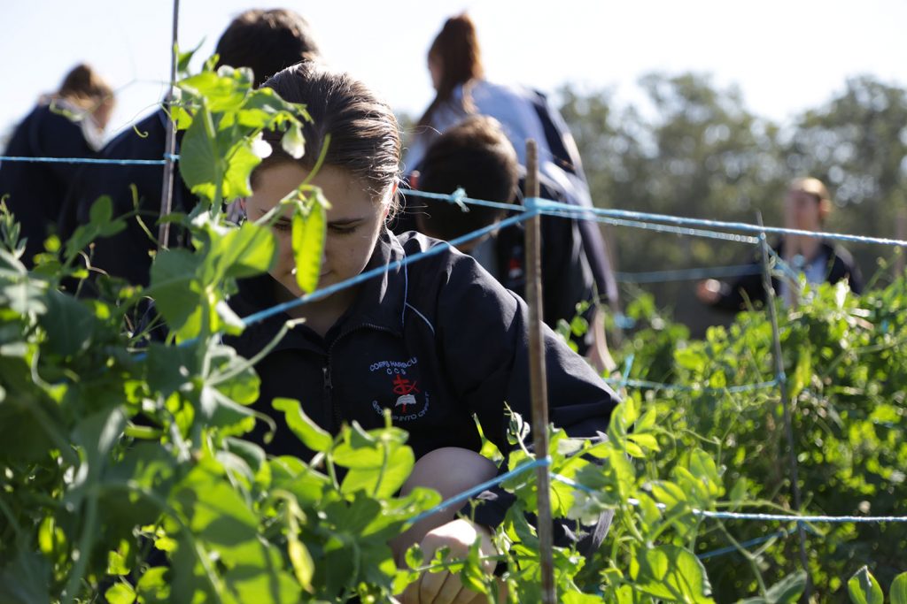 Middle School - Coffs Harbour Christian Community School